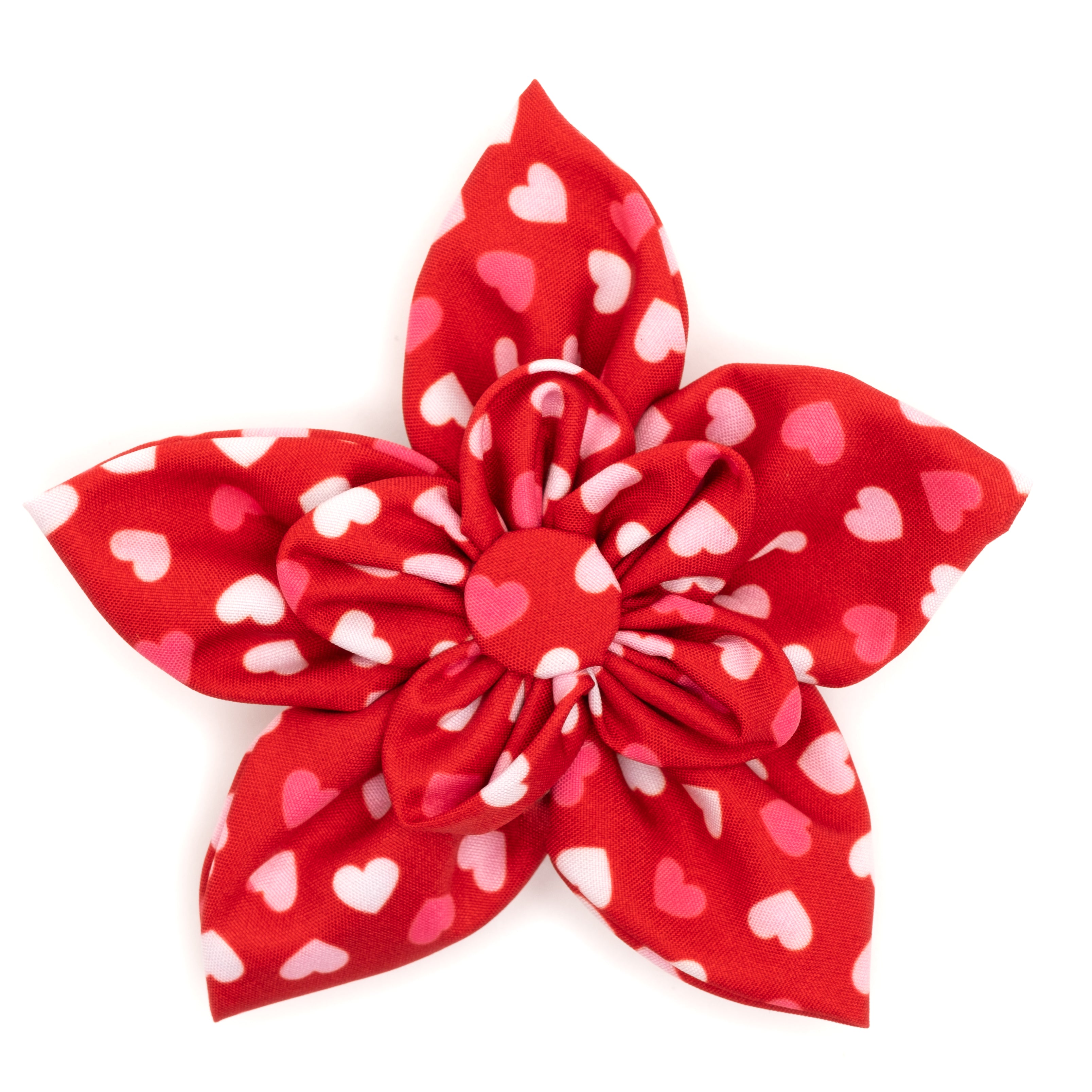 Cupid Flower – All Creatures Solutions