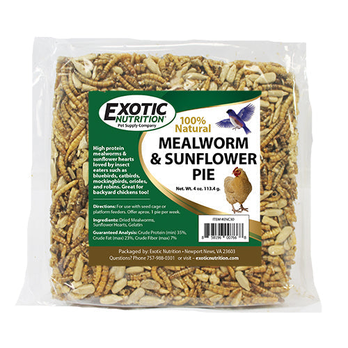Mealworm Breeder Kit – All Creatures Solutions