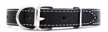 GI COLLARS – All Creatures Solutions