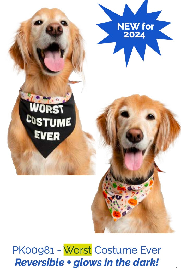 Worst Costume Ever Reversible- Pack of 12 – All Creatures Solutions