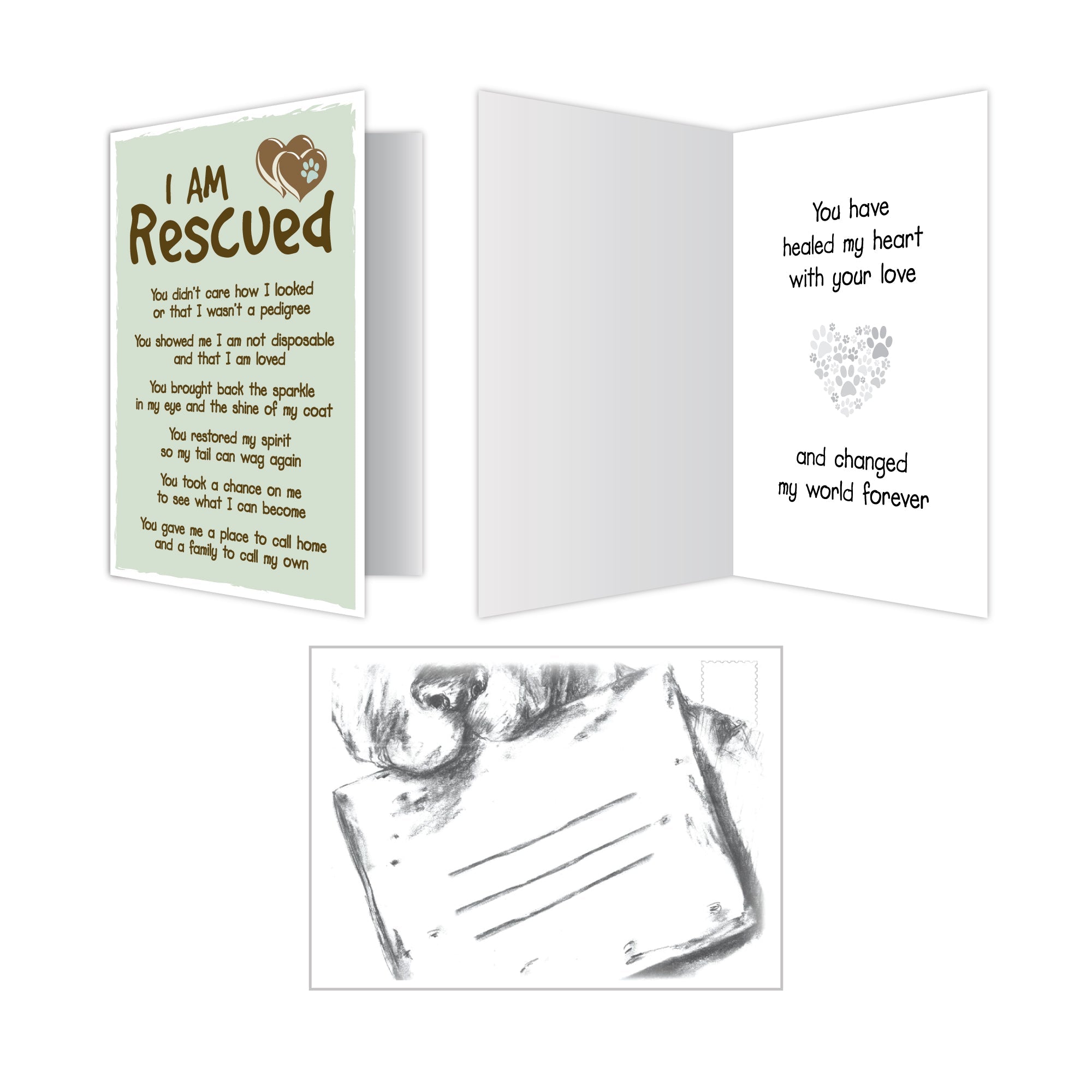 Rescue Cards (Pack of 6) – All Creatures Solutions