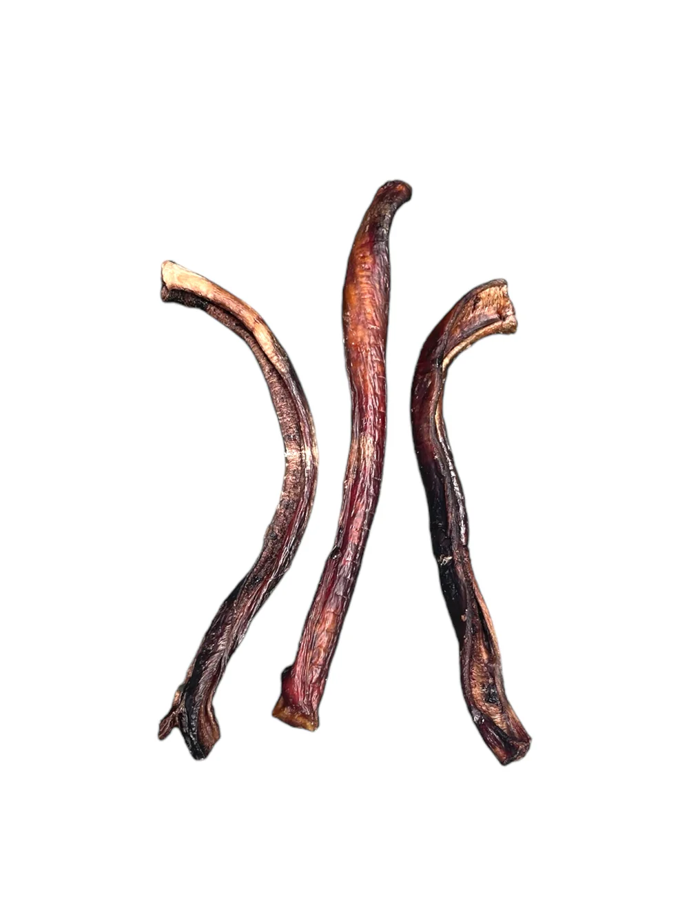 Dehydrated Bull Pizzle – All Creatures Solutions