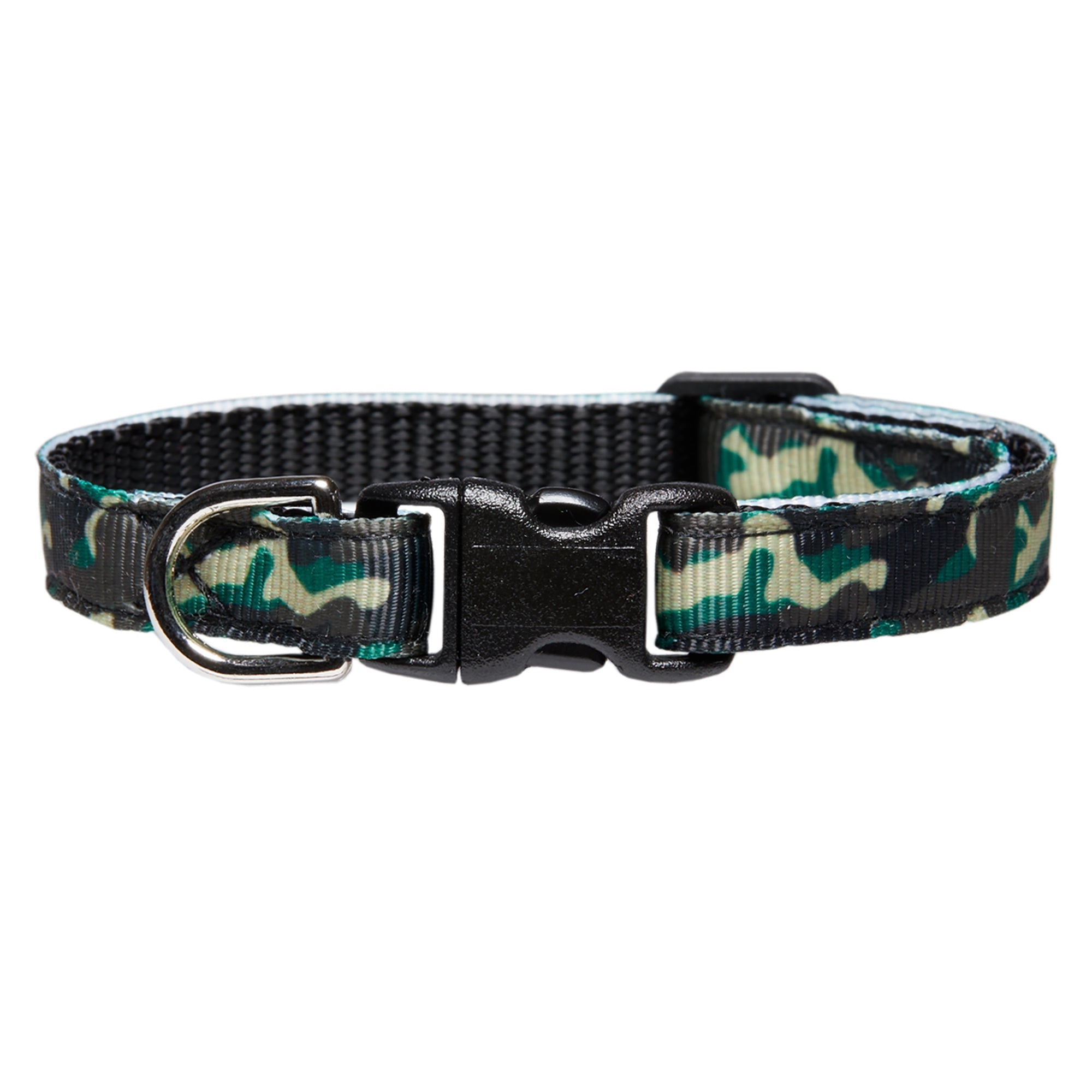The Roky - Collar – All Creatures Solutions