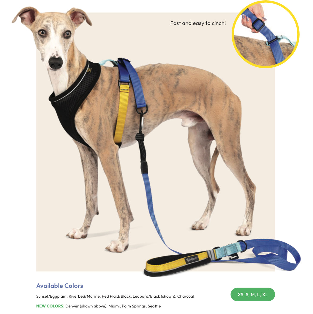 Featherweight Harness – All Creatures Solutions